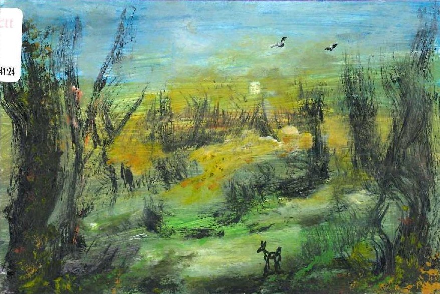 A minha floresta por Maria Resende | Correio do Porto